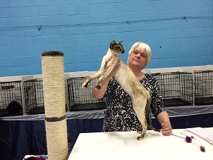 Untitled [www.osterfen.co.uk]